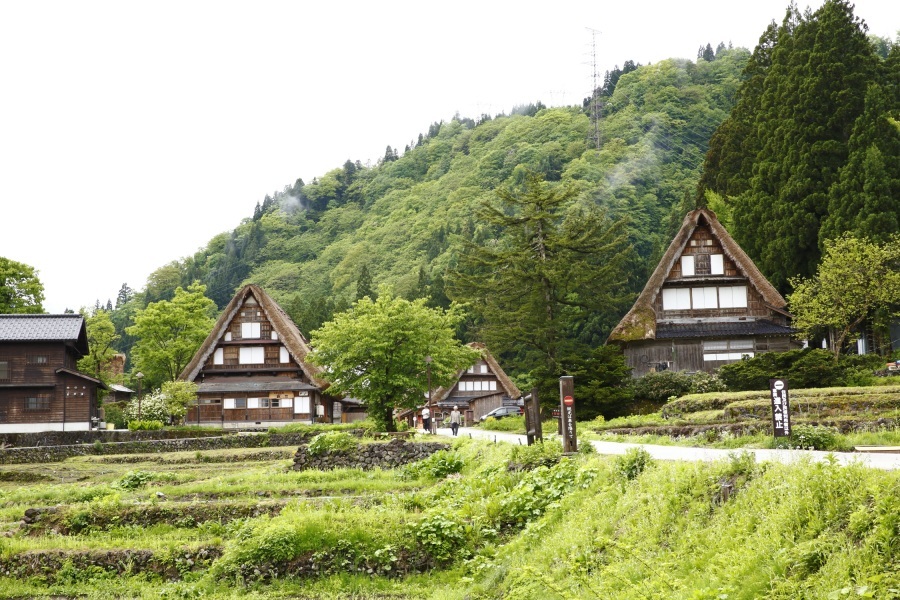 Skip the Crowds: Discover Gokayama – Nanto’s Authentic World Heritage ...
