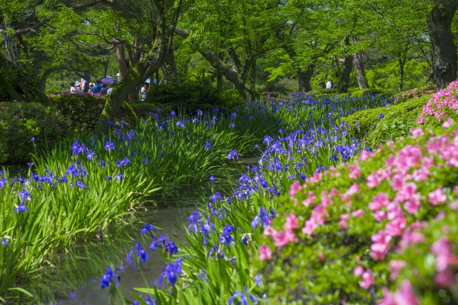 Spring Attractions in Kanazawa｜Kanazawa 101｜VISIT KANAZAWA, JAPAN ...