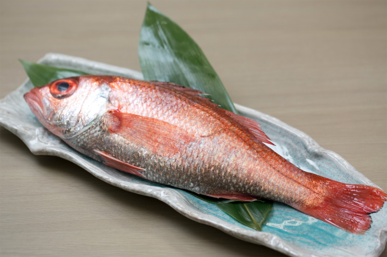 Nodo-guro (Black Throat Sea Perch)｜Image Gallery｜Visit KANAZAWA, JAPAN ...