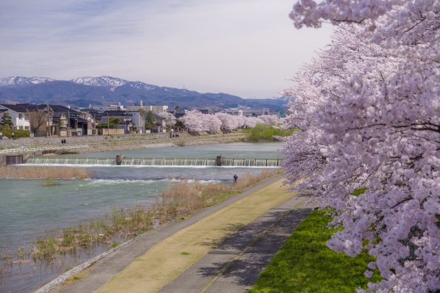 Saigawa River｜Attractions｜VISIT KANAZAWA, JAPAN - Official Travel Guide