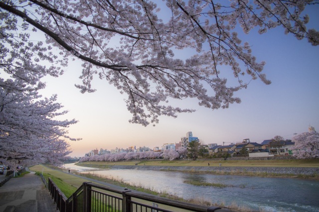Saigawa River｜Attractions｜VISIT KANAZAWA, JAPAN - Official Travel Guide